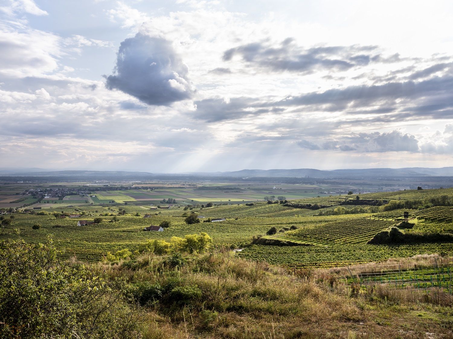 Weingut Bernhard Ott